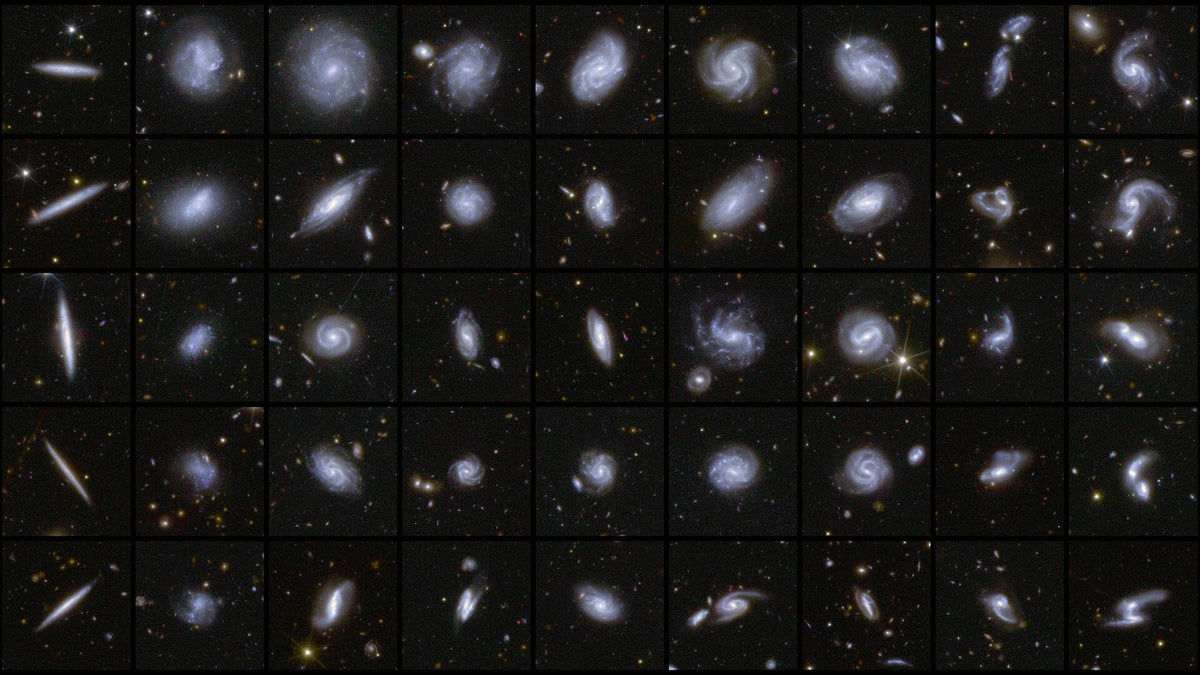 26 Million Galaxies Unveiled in Euclid's First Survey Data